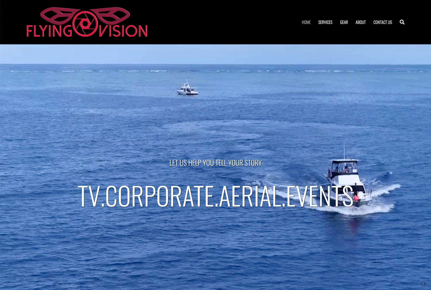 Flying Vision - My Business Engine